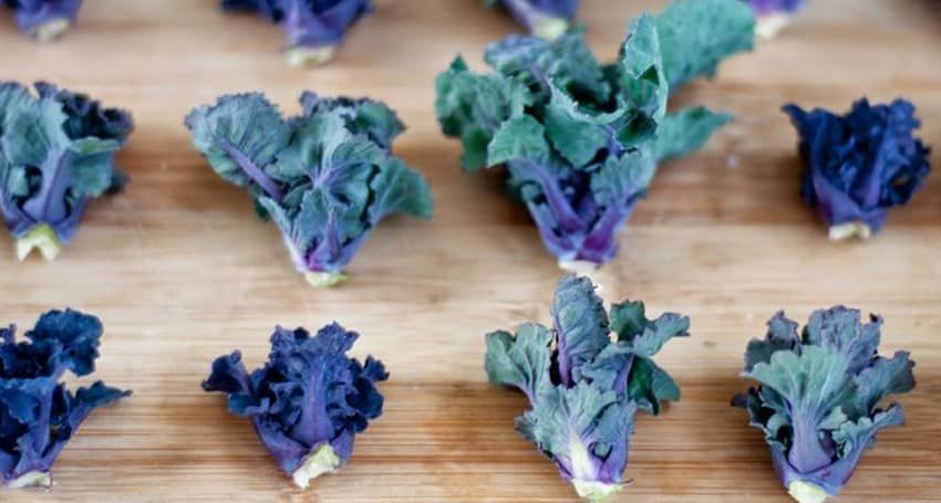 BABY KALE RECIPES: MEET KALETTES - SWIISH Blog