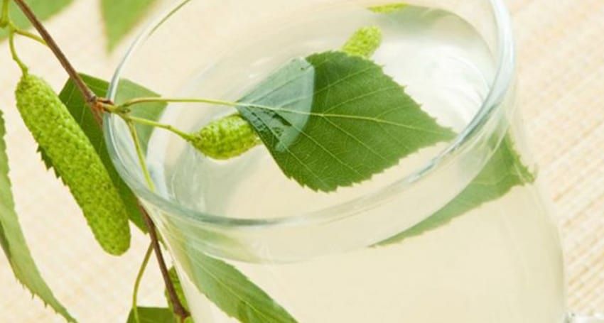 BIRCH WATER BENEFITS - SWIISH Blog
